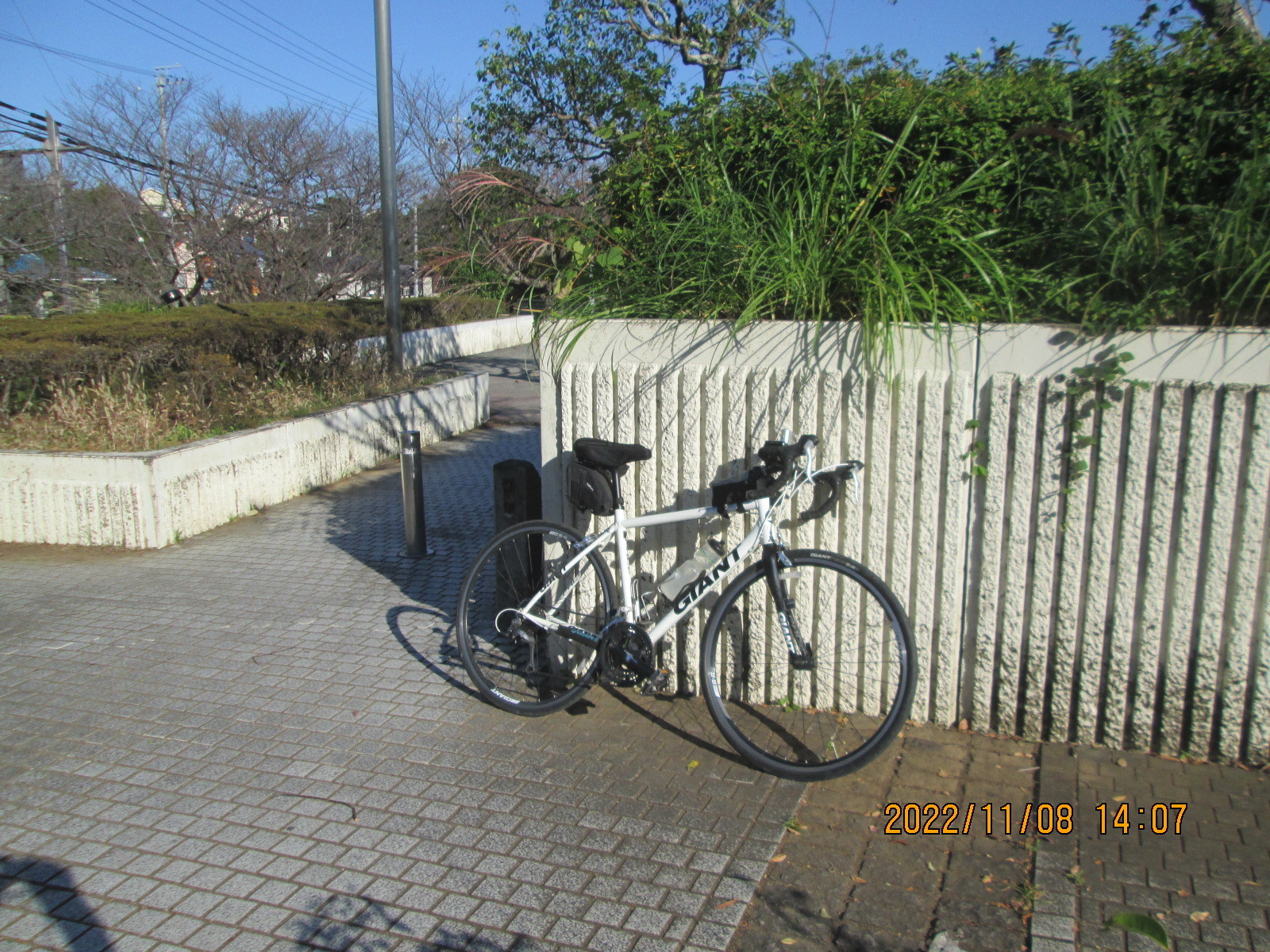 日本平: 健康優良？ジジイの自転車天国